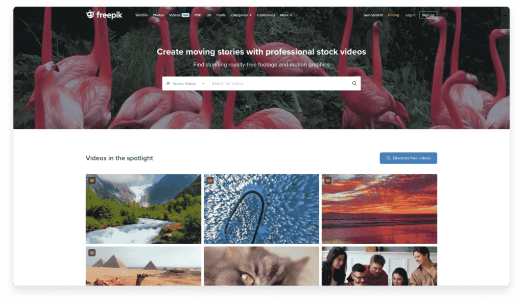 Top 18 Websites for Free Stock Videos - The Definitive List