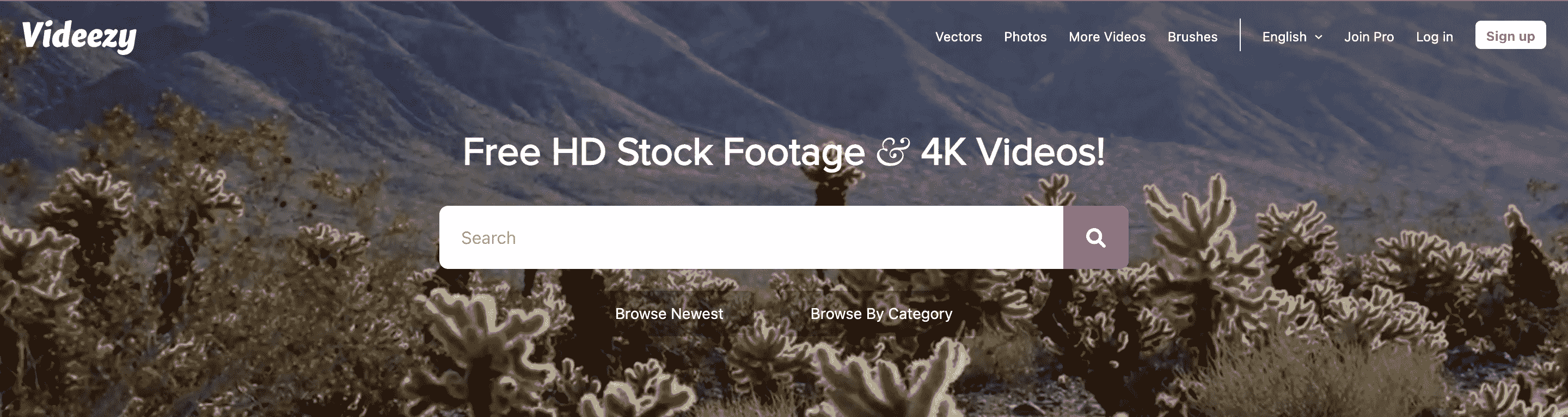 Top 18 Websites for Free Stock Videos - The Definitive List
